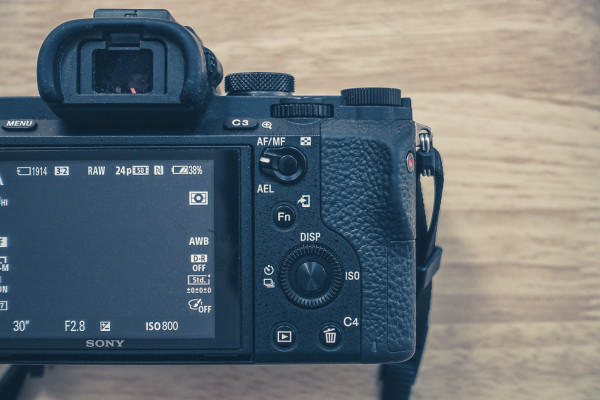 Sony a7II: A Real World Review – The Photon Collective